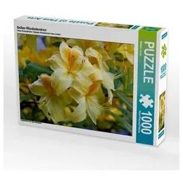 Calvendo Gelber Rhododendron (Puzzle)