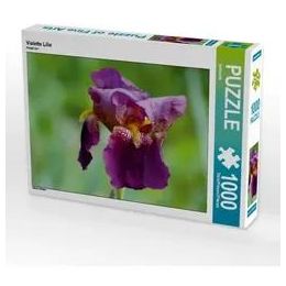 Calvendo Violette Lilie (Puzzle)