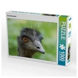 Calvendo Puzzle Emu (Dromaius) 1000 Teile Lege-Gr&ouml;&szlig;e 64 x 48 cm Foto-Puzzle Bild von kattobello
