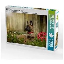 Calvendo Junger Hund, 1000 Teile