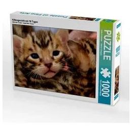 Calvendo Kittengesicht mit 18 Tagen (Puzzle)