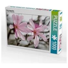 Calvendo Sternmagnolien (Puzzle)
