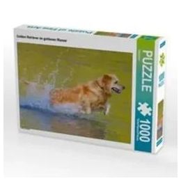 Calvendo Puzzle Golden Retriever im goldenen Wasser 1000 Teile Lege-Gr&ouml;&szlig;e 64 x 48 cm Foto-Puzzle Bild von Kattobello