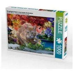 Calvendo Rot-getigerte Katze in einer bunten Gartenidylle (Puzzle)