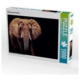 Calvendo Afrikanischer Elefant (Puzzle)
