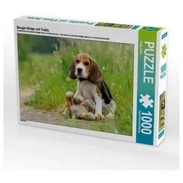 Calvendo Beagle-Welpe mit Teddy (Puzzle)