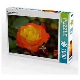 Calvendo Orange gelbe Rose (Puzzle)
