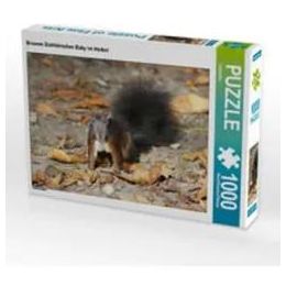 Calvendo Puzzle Braunes Eichh&ouml;rnchen Baby im Herbst 1000 Teile Lege-Gr&ouml;&szlig;e 64 x 48 cm Foto-Puzzle Bild von Kattobello