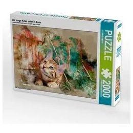 Calvendo Die junge Katze unter m Zaun (Puzzle)