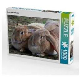 Calvendo Puzzle Zwei dicke Freunde 1000 Teile Lege-Gr&ouml;&szlig;e 64 x 48 cm Foto-Puzzle Bild von Kattobello