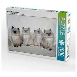 Calvendo Heilige Birma Katzen (Puzzle)