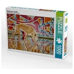 Calvendo Windhund in Graffiti (Puzzle)