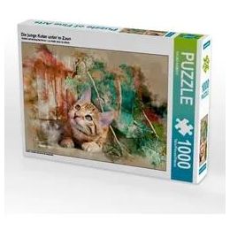 Calvendo Die junge Katze unter m Zaun (Puzzle)