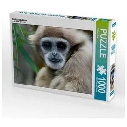 Calvendo Wei&szlig;handgibbon (Puzzle)