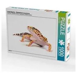 Calvendo Leopardgecko - Eublepharis macularius (Puzzle)