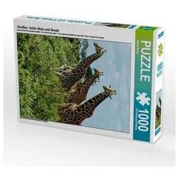 Calvendo Giraffen. Voller Stolz und Grazie (Puzzle)
