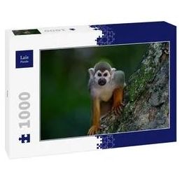 Lais Puzzle Affe 1000 Teile