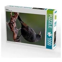 Calvendo Amsel (Puzzle)