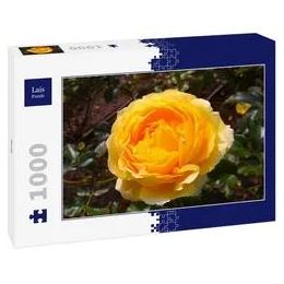 Lais Puzzle Rose 1000 Teile