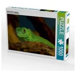 Calvendo Gr&uuml;ne Wasseragame (Puzzle)