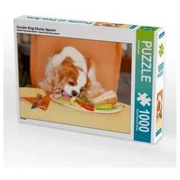 Calvendo Cavalier King Charles Spaniel (Puzzle)