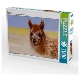 Calvendo Lama (Puzzle)