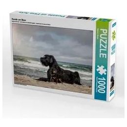 Calvendo Hunde am Meer (Puzzle)