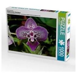 Calvendo Puzzle Farbenreiche Orchideen 1000 Teile Lege-Gr&ouml;&szlig;e 64 x 48 cm Foto-Puzzle Bild von Sven Herkenrath