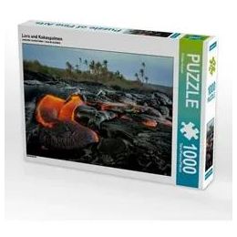 Calvendo Lava und Kokospalmen (Puzzle)
