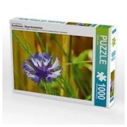 Calvendo Puzzle Kornblumen - Blaue Sch&ouml;nheiten 1000 Teile Lege-Gr&ouml;&szlig;e 64 x 48 cm Foto-Puzzle Bild von Sabine L&ouml;wer
