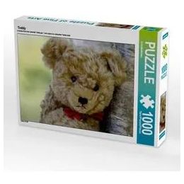 Calvendo Teddy (Puzzle)