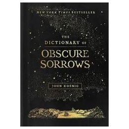 The Dictionary of Obscure Sorrows