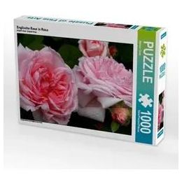Calvendo Englische Rose in Rosa (Puzzle)