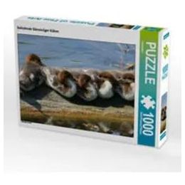 Calvendo Puzzle Schlafende G&auml;nses&auml;ger K&uuml;ken 1000 Teile Lege-Gr&ouml;&szlig;e 64 x 48 cm Foto-Puzzle Bild von Kattobello