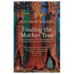 Finding the Mother Tree