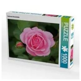 Calvendo Puzzle Zartrosa Rosenbl&uuml;te 1000 Teile Lege-Gr&ouml;&szlig;e 64 x 48 cm Foto-Puzzle Bild von kattobello