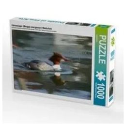 Calvendo Puzzle G&auml;nses&auml;ger (Mergus merganser) Weibchen 1000 Teile Lege-Gr&ouml;&szlig;e 64 x 48 cm Foto-Puzzle Bild von kattobello