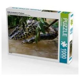 Calvendo Puzzle Gelbe Anakonda im Pantanal 1000 Teile Lege-Gr&ouml;&szlig;e 64 x 48 cm Foto-Puzzle Bild von Juergen Woehlke