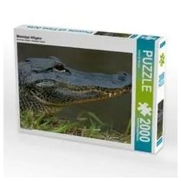 Calvendo Puzzle Missisippi Alligator 2000 Teile Lege-Gr&ouml;&szlig;e 90 x 67 cm Foto-Puzzle Bild von Dieter-M. Wilczek
