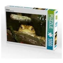 Calvendo Puzzle Erdkr&ouml;te 1000 Teile Lege-Gr&ouml;&szlig;e 64 x 48 cm Foto-Puzzle Bild von Conny Krakowski