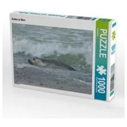 Calvendo Puzzle Robbe im Meer 1000 Teile Lege-Gr&ouml;&szlig;e 64 x 48 cm Foto-Puzzle Bild von Kattobello
