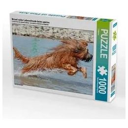 Calvendo Briard voller Lebensfreude beim spielen (Puzzle)