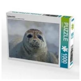 Calvendo Puzzle Robben Blick 1000 Teile Lege-Gr&ouml;&szlig;e 64 x 48 cm Foto-Puzzle Bild von Kattobello