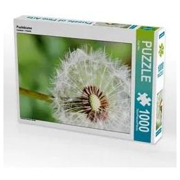Calvendo Pusteblume (Puzzle)