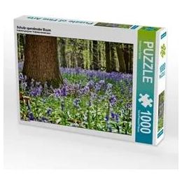Calvendo Schutz spendender Baum (Puzzle)