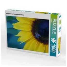 Calvendo Puzzle Honigbiene auf Sonnenblumenbl&uuml;te 1000 Teile Lege-Gr&ouml;&szlig;e 64 x 48 cm Foto-Puzzle Bild von kattobello