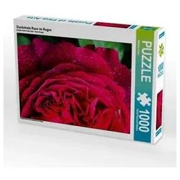 Calvendo Dunkelrote Rose im Regen (Puzzle)