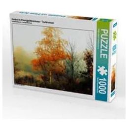 Calvendo Puzzle Herbst im Pennigb&uuml;ttelermoor / Teufelsmoor 1000 Teile Lege-Gr&ouml;&szlig;e 64 x 48 cm Foto-Puzzle Bild von Ulrike Adam