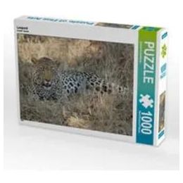 Calvendo Puzzle Leopard 1000 Teile Lege-Gr&ouml;&szlig;e 64 x 48 cm Foto-Puzzle Bild von Johann Sch&ouml;rkhuber