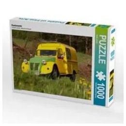 Calvendo Puzzle Kastenente 1000 Teile Lege-Gr&ouml;&szlig;e 64 x 48 cm Foto-Puzzle Bild von Meike B&ouml;lts